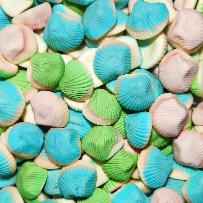 Filled Sea Shells - Foam Lollies Filled With Jelly - Candy Co