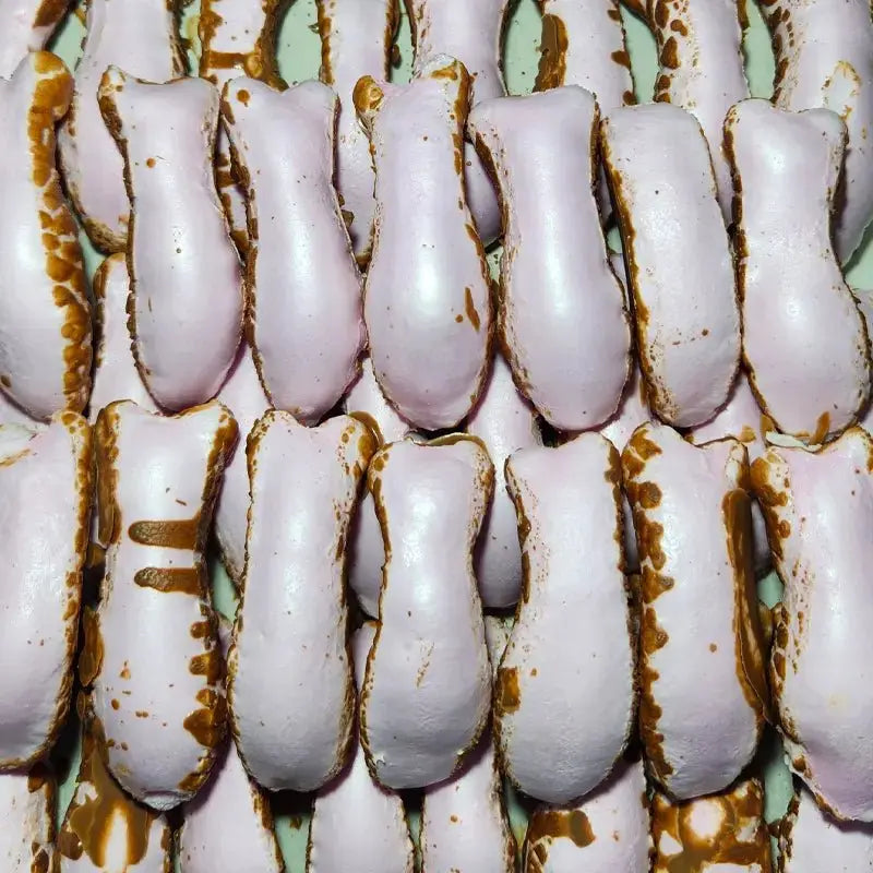 Freeze Dried Chocolate Fish - Lollies Online - Candy Co