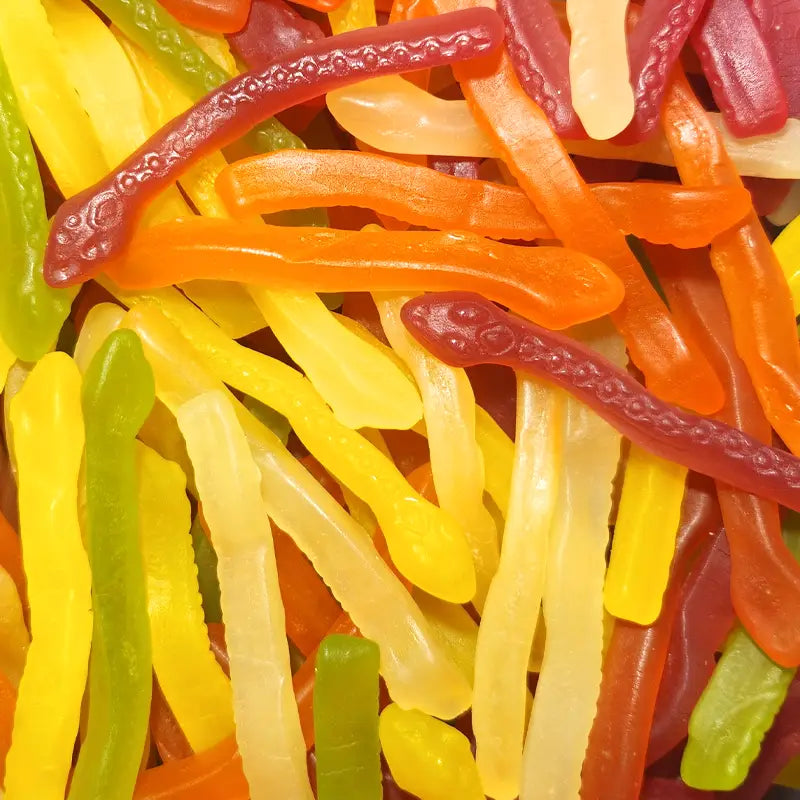 Jelly Snake Lollies - Fruity Flavoured Snake Candy - Shop Online – Candy Co