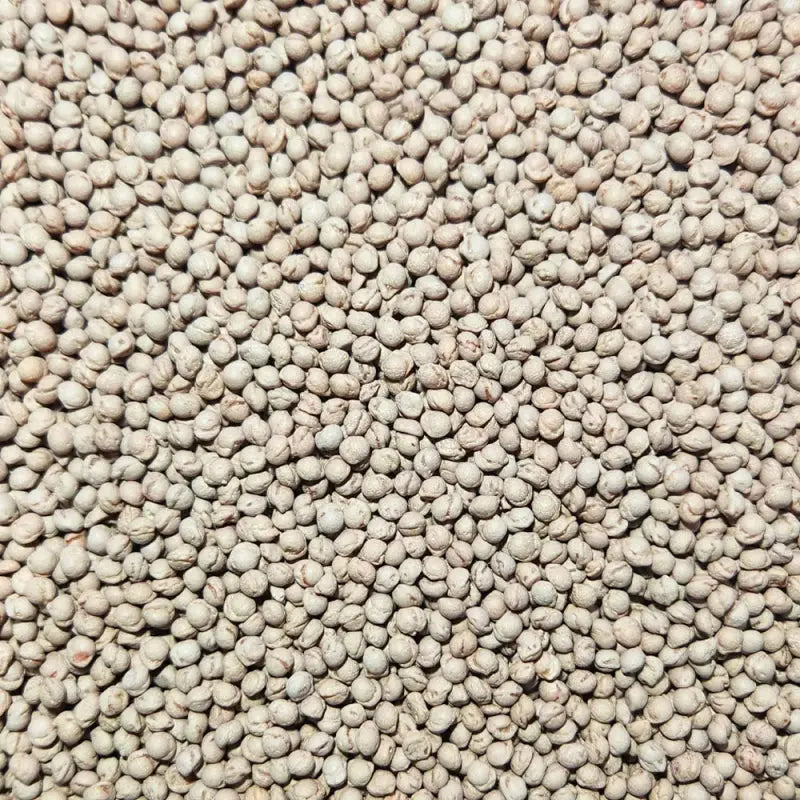 Millions Cola 50g Pack - Lollies Online - Candy Co