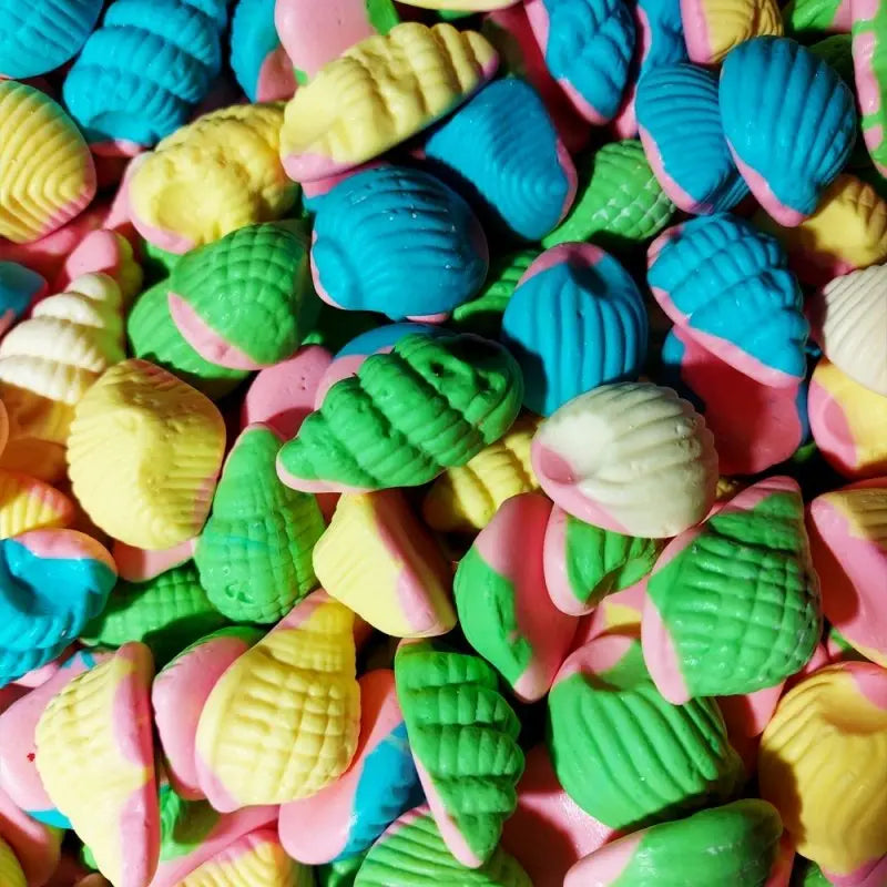 Sea Shell Lollies - Order Lollies Online - Candy Co