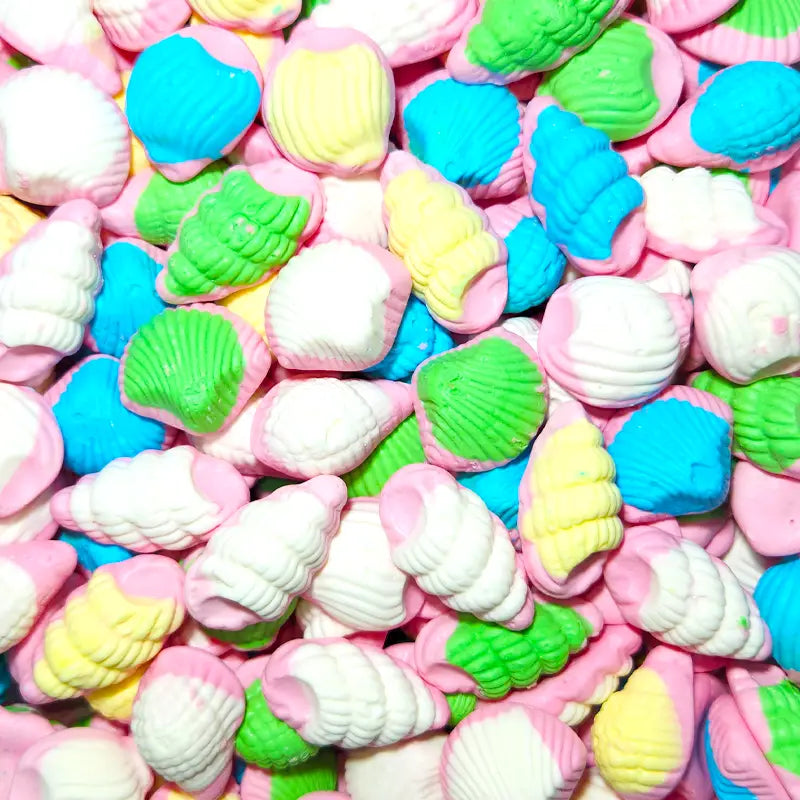 Sea Shell Lollies - Order Lollies Online - Candy Co